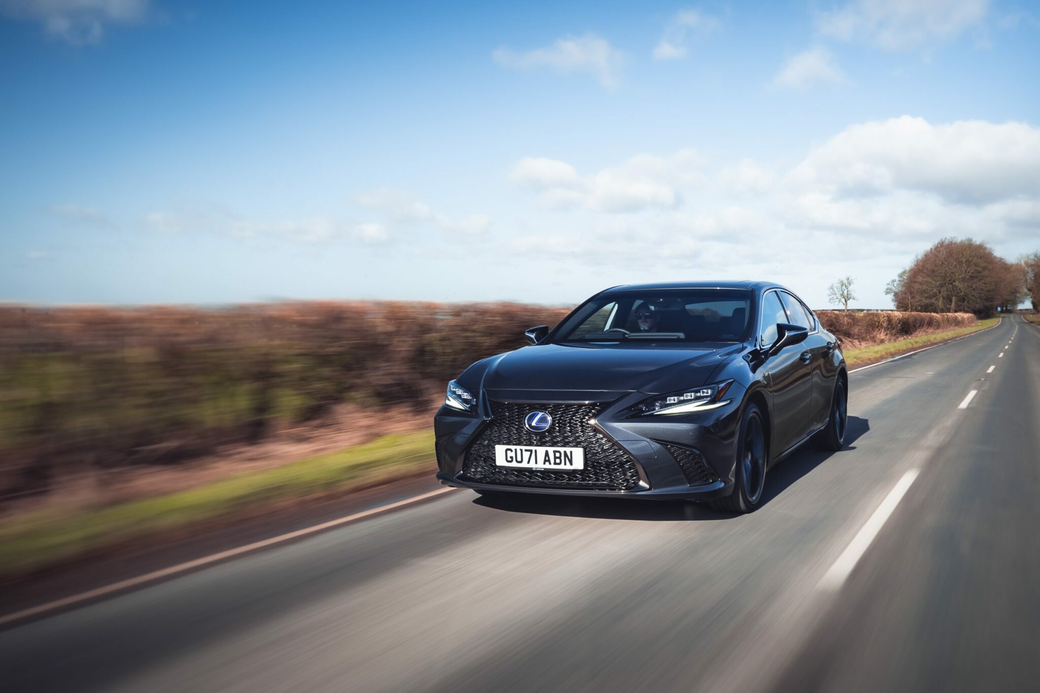Diplomatic Service - ADC Automotive